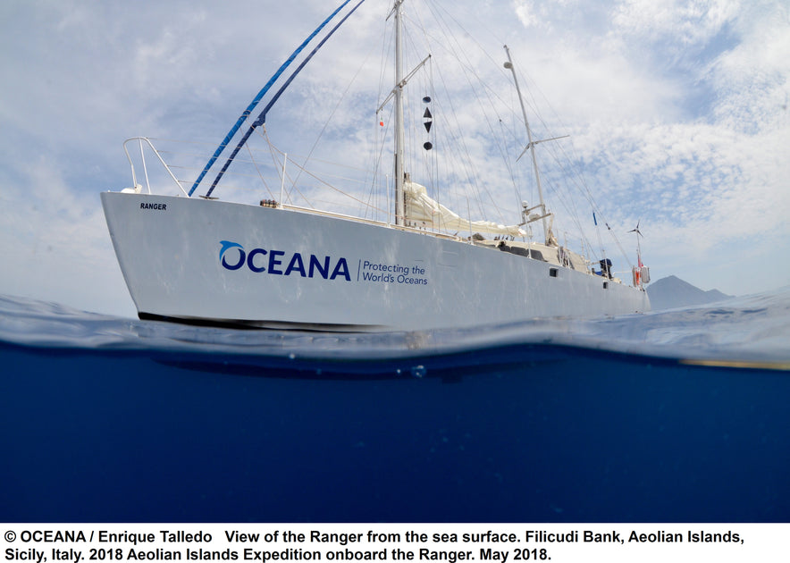 New Ocean Charity : Oceana – Absurd Design
